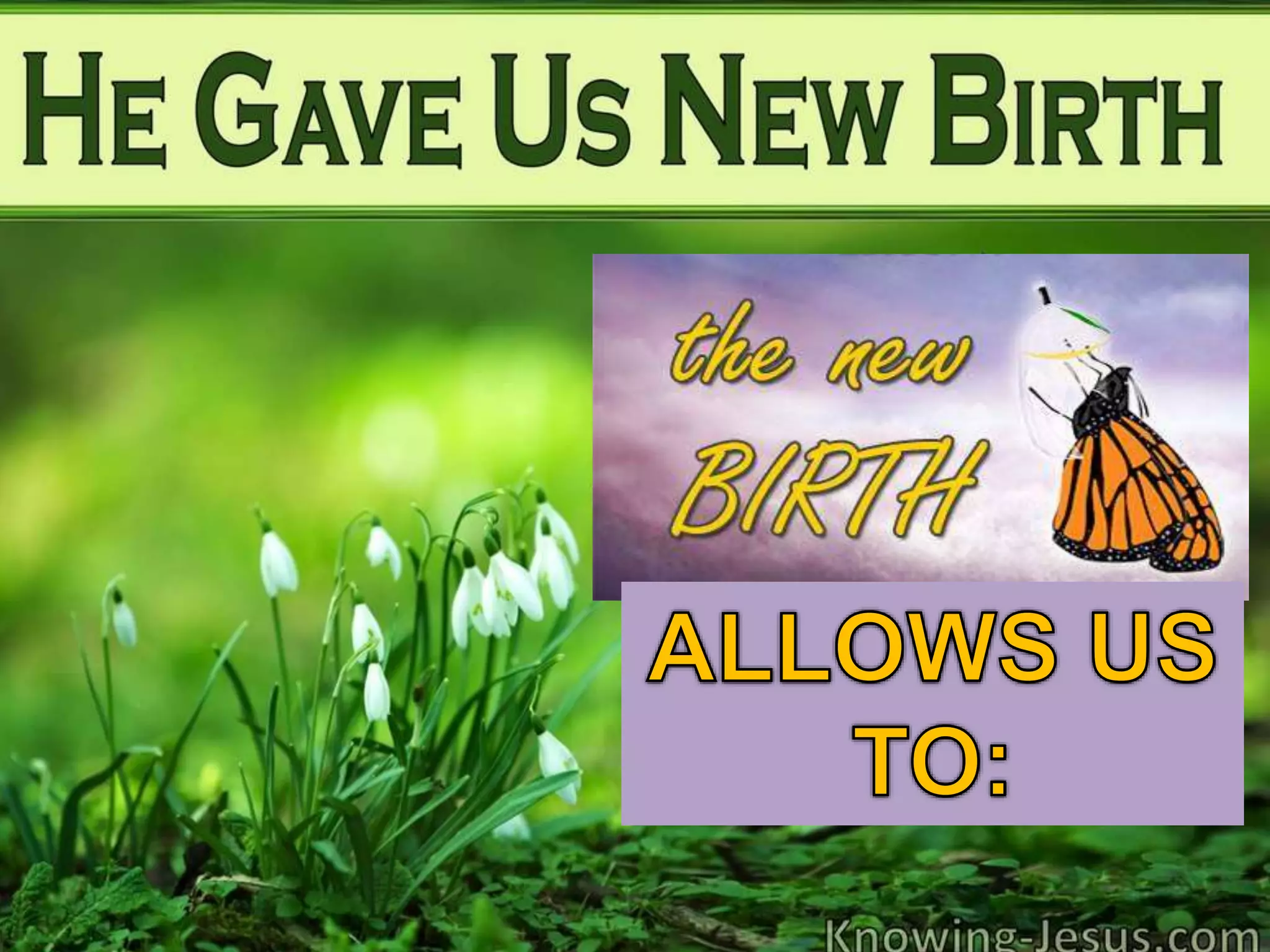 Lifeclass week 3 the best experience of your life | PPTX