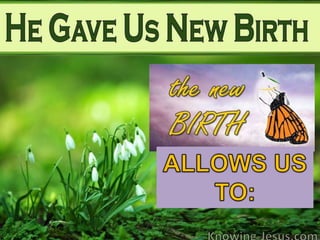 Lifeclass week 3 the best experience of your life | PPTX