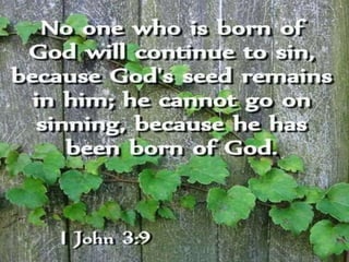 Lifeclass week 3 the best experience of your life | PPTX