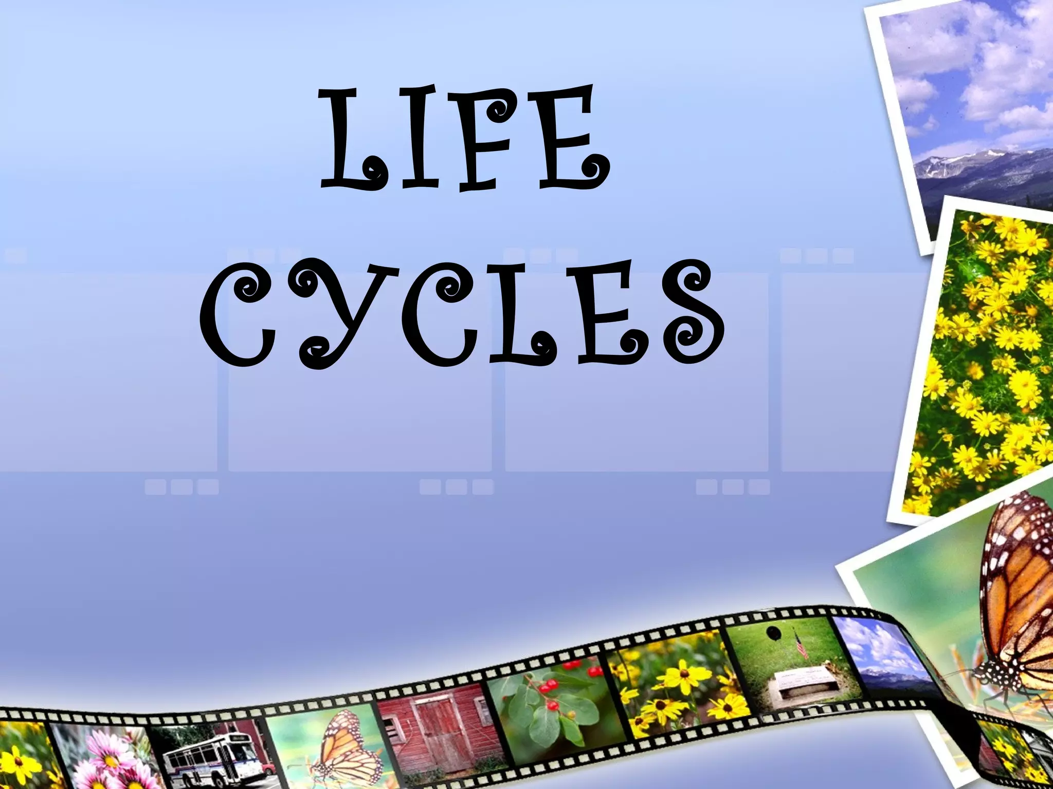Life cycle | PPT