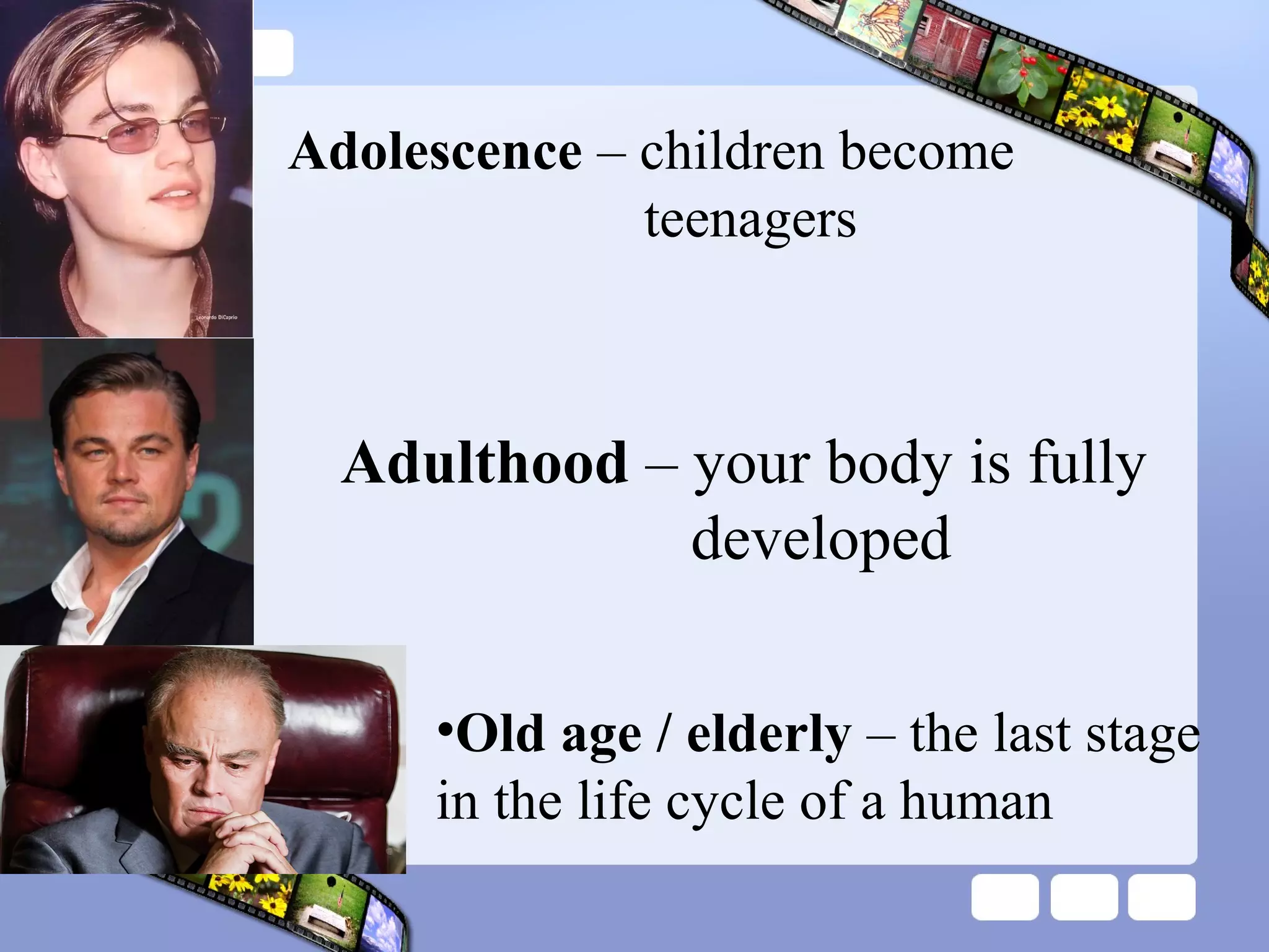 Life cycle | PPT