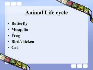 Life cycle | PPT