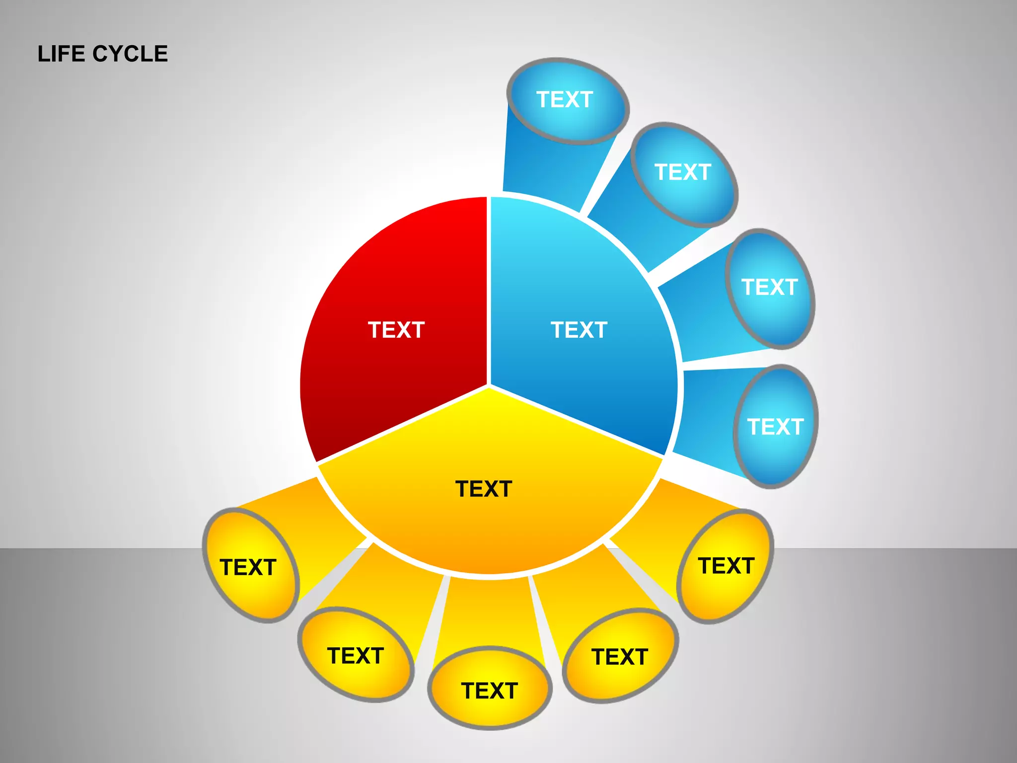 Life Cycle Diagram | PPT