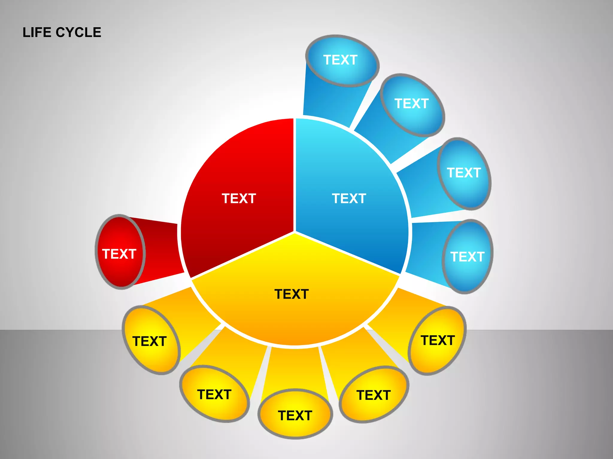 Life Cycle Diagram | PPT