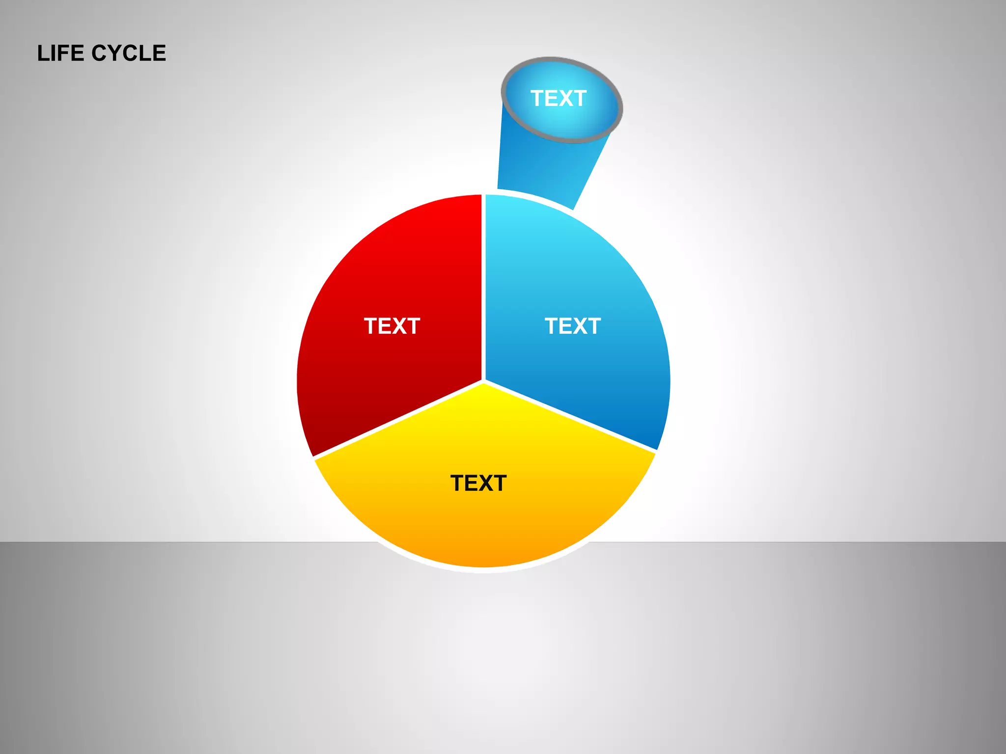 Life Cycle Diagram | PPT