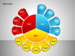 Life Cycle Diagram | PPT