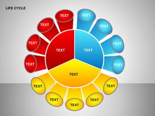 Life Cycle Diagram | PPT