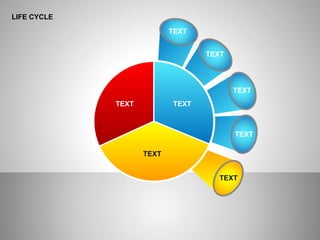 Life Cycle Diagram | PPT