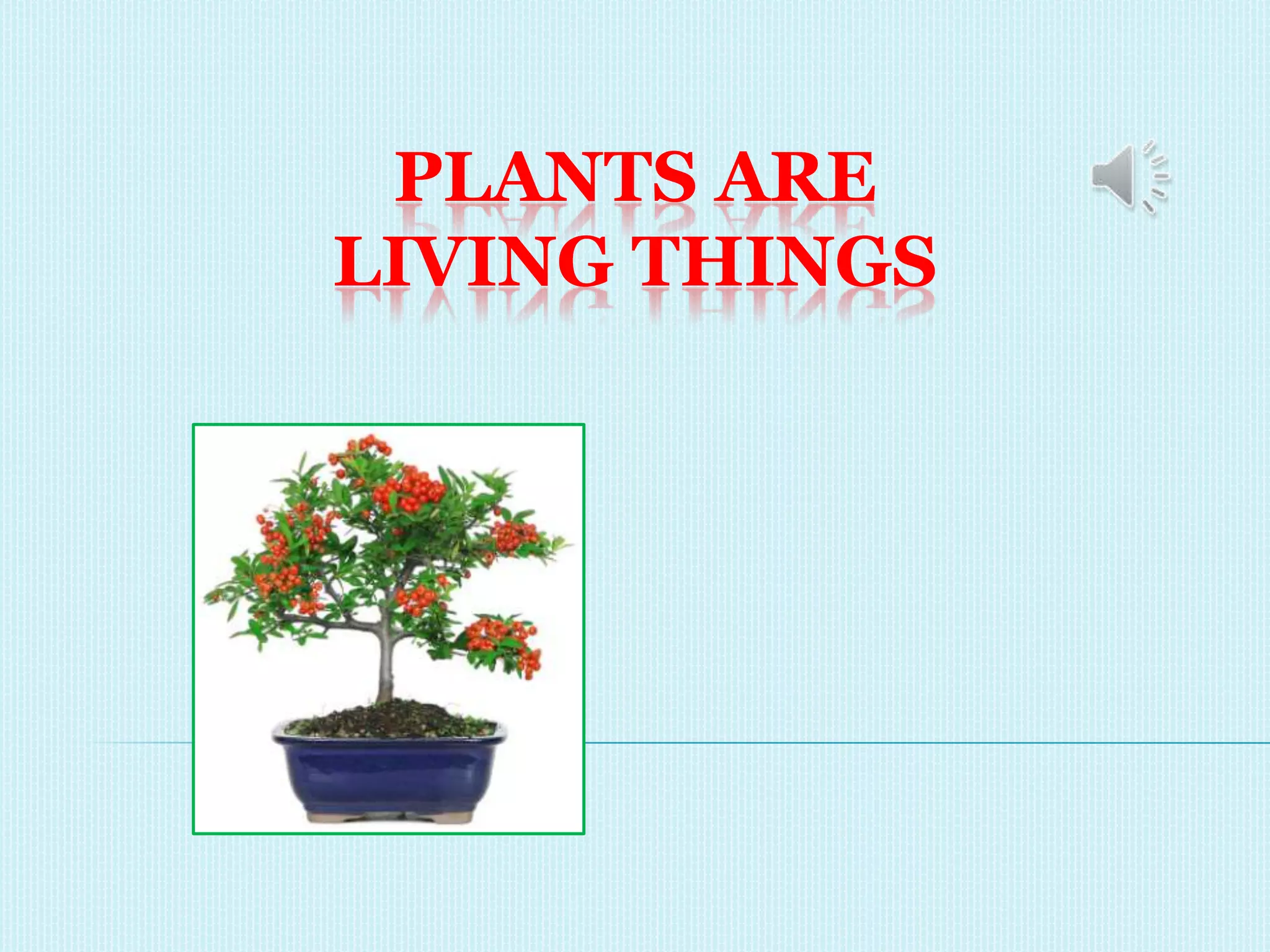 Life cycle of a plant | PPTX