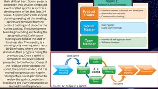 The software development lifecycle for IT | PDF