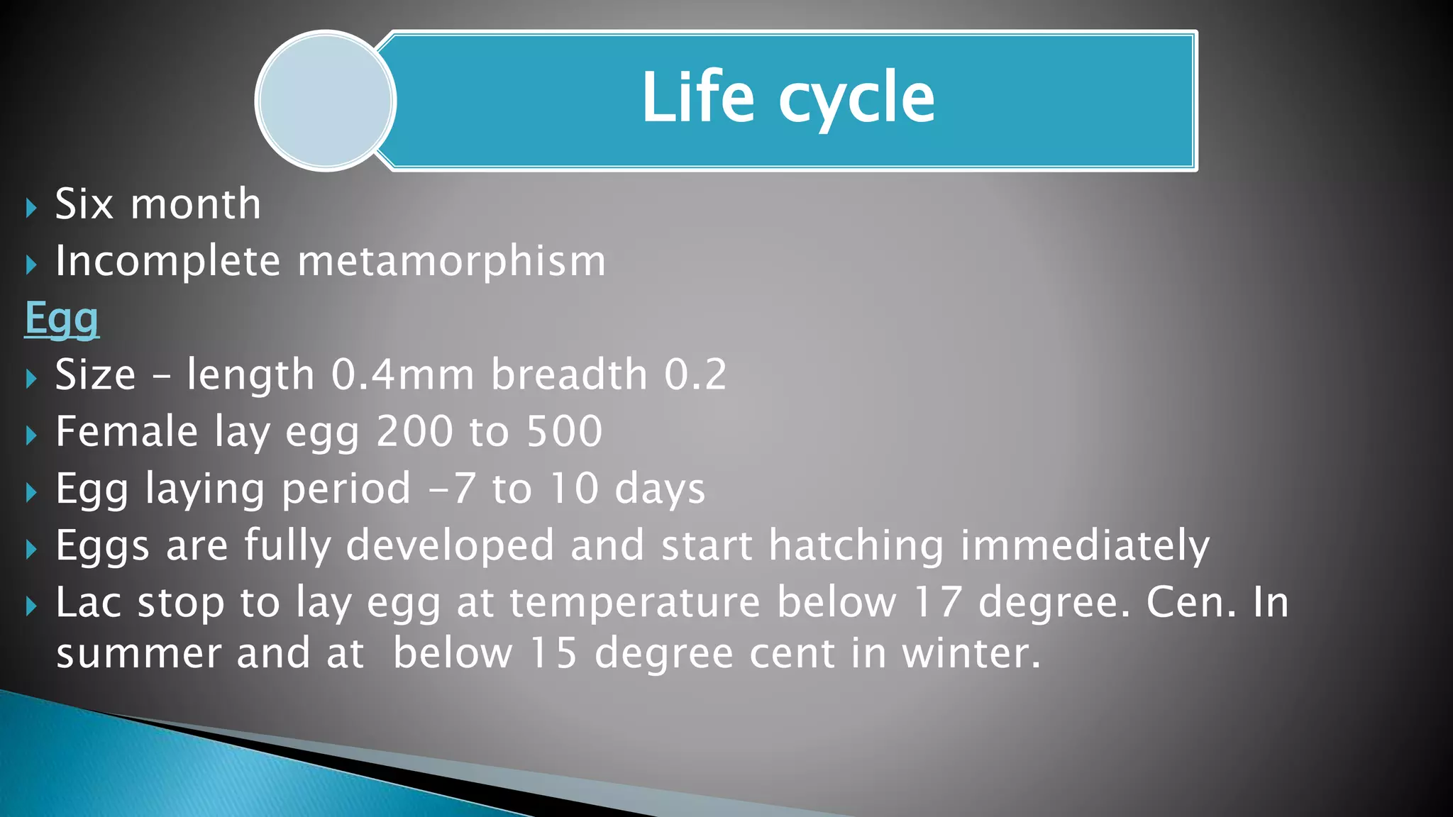 life cycle and biology of lack insect. ppt.pptx