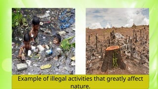 LIFE CYCLE AND THE FOUR LAWS OF ECOLOGY.pptx