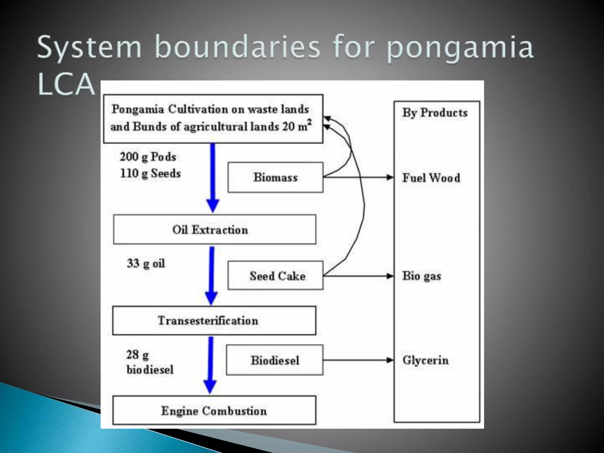 Life cycle assessment of biodiesel production from pongamia | PPTX