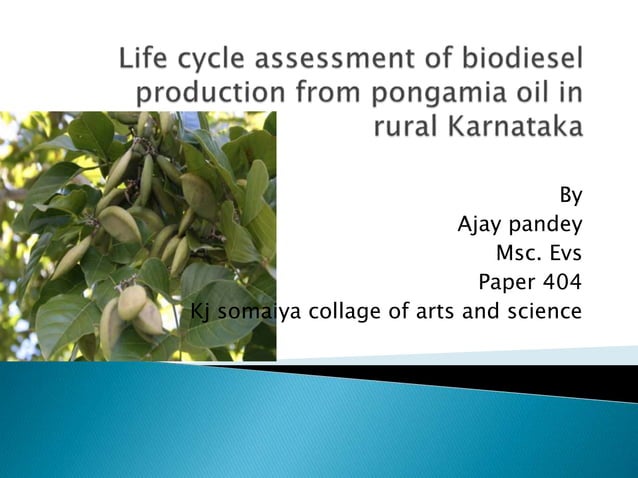 Life cycle assessment of biodiesel production from pongamia | PPTX ...