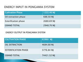 Life cycle assessment of biodiesel production from pongamia | PPTX