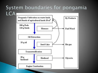 Life cycle assessment of biodiesel production from pongamia | PPTX