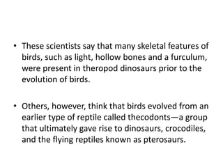 Life cycle bird | PPTX