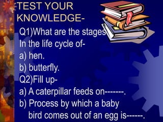 life cycle egg laying animals (1).ppt