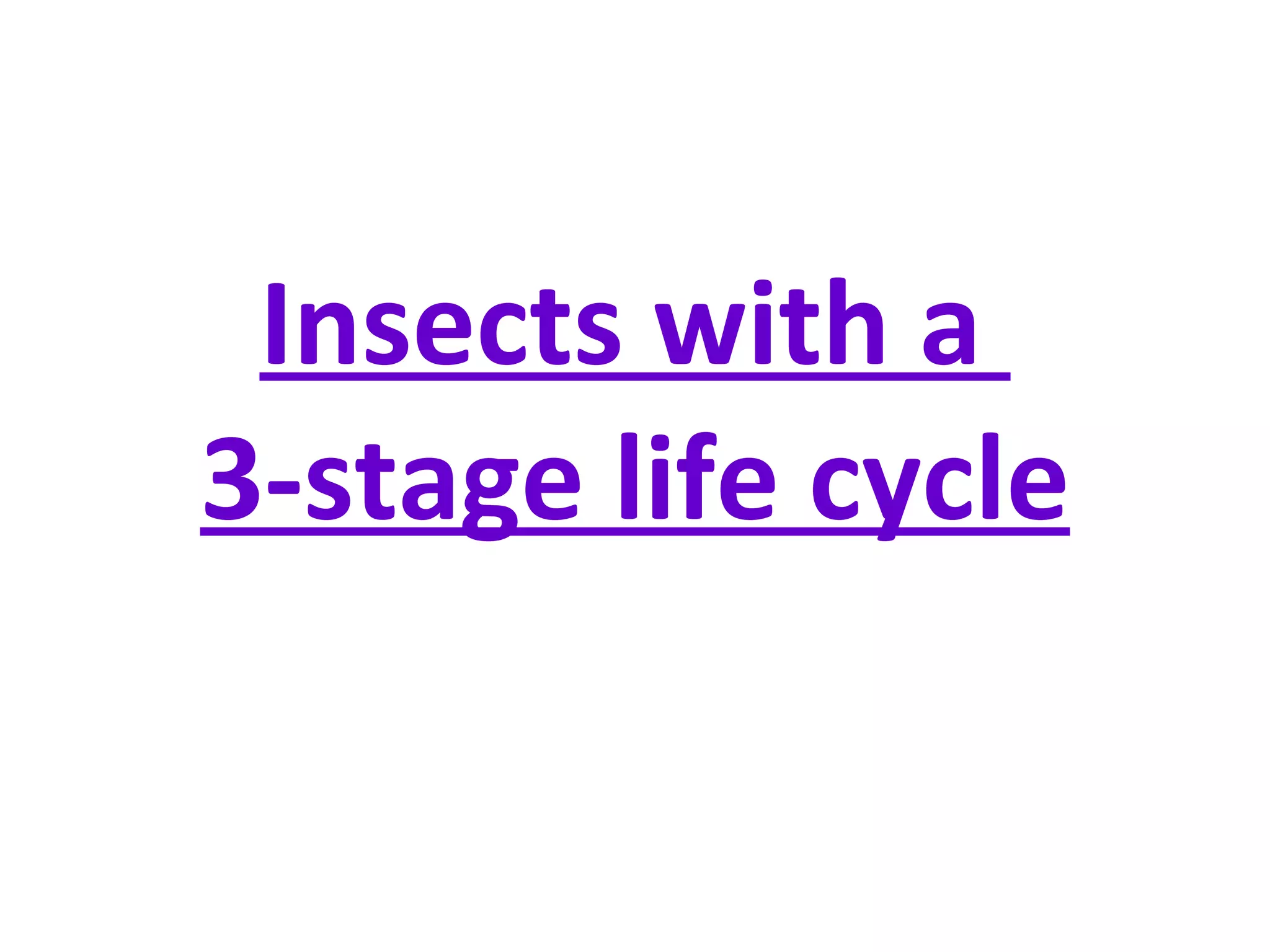 Life cycle forum | PPT