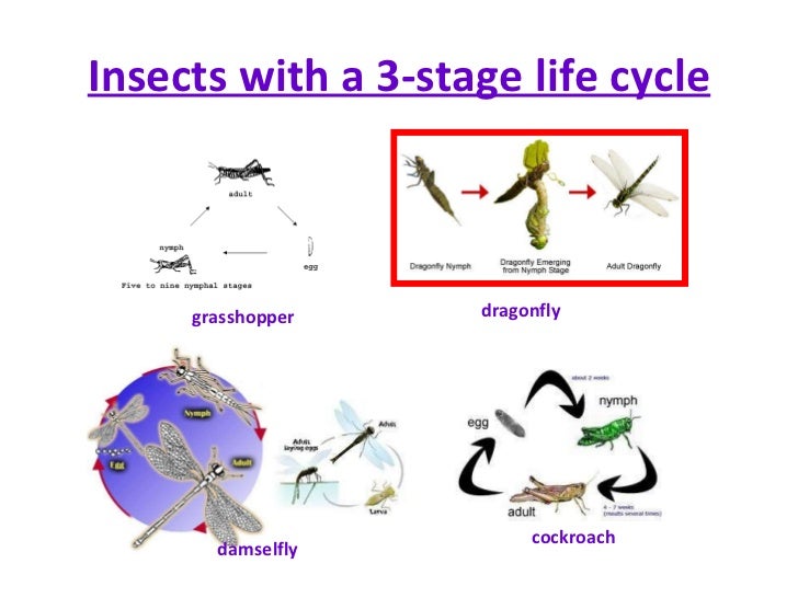 Life cycle forum