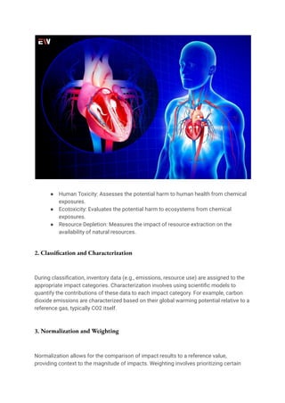 Life Cycle Impact Assessment_ A Comprehensive Guide to Understanding ...