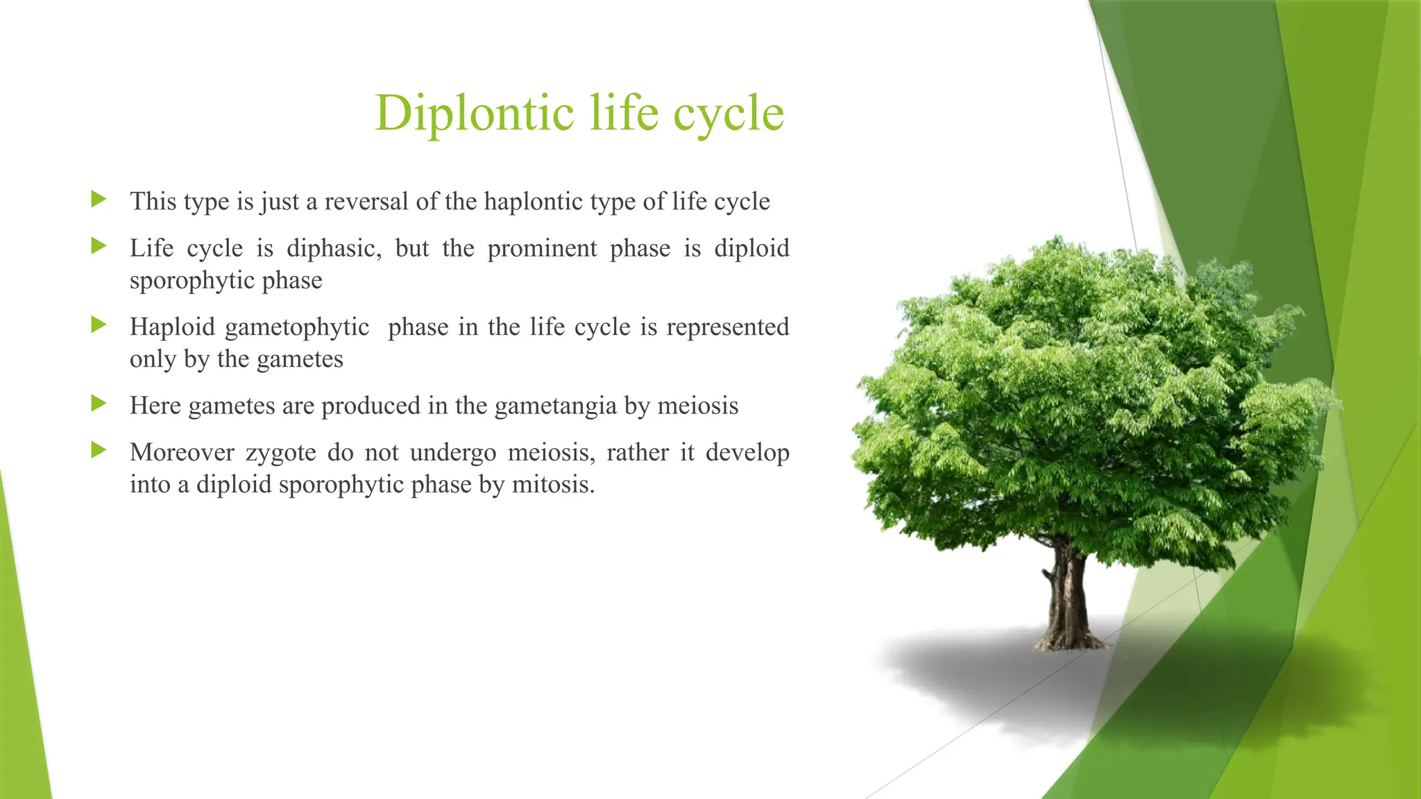 LIFE CYCLE IN ALGAE.pptx for degree stude | PPTX
