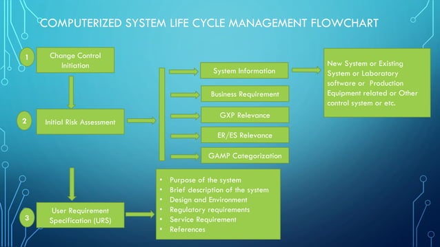 Life Cycle Management Of Computerized System.pdf