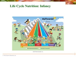 Life Cycle Nutrition - Talks about the nutrition requirements for an ...