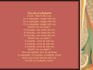 Life cycle of a butterfly | PPT