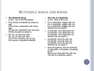 Life cycle of a butterfly | PPTX | Reptiles | Pets