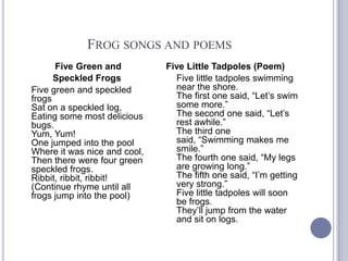 Life cycle of a butterfly | PPTX | Reptiles | Pets