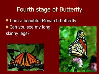Life cycle of a butterfly | PPT