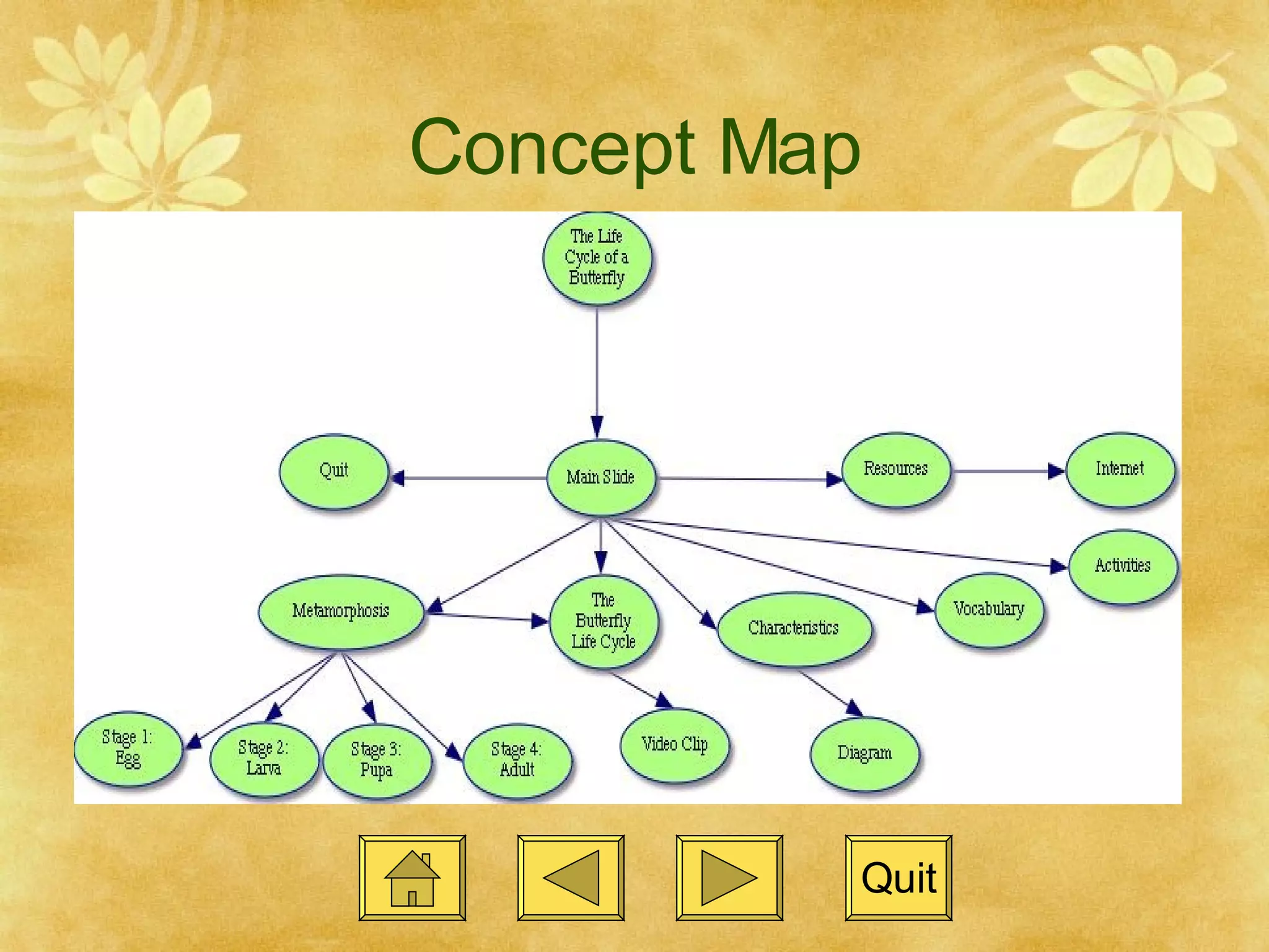 Lifecycleofabutterfly | PPT