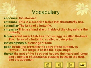 Lifecycleofabutterfly | PPT