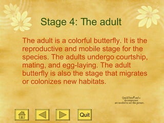 Lifecycleofabutterfly | PPT