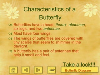 Lifecycleofabutterfly | PPT