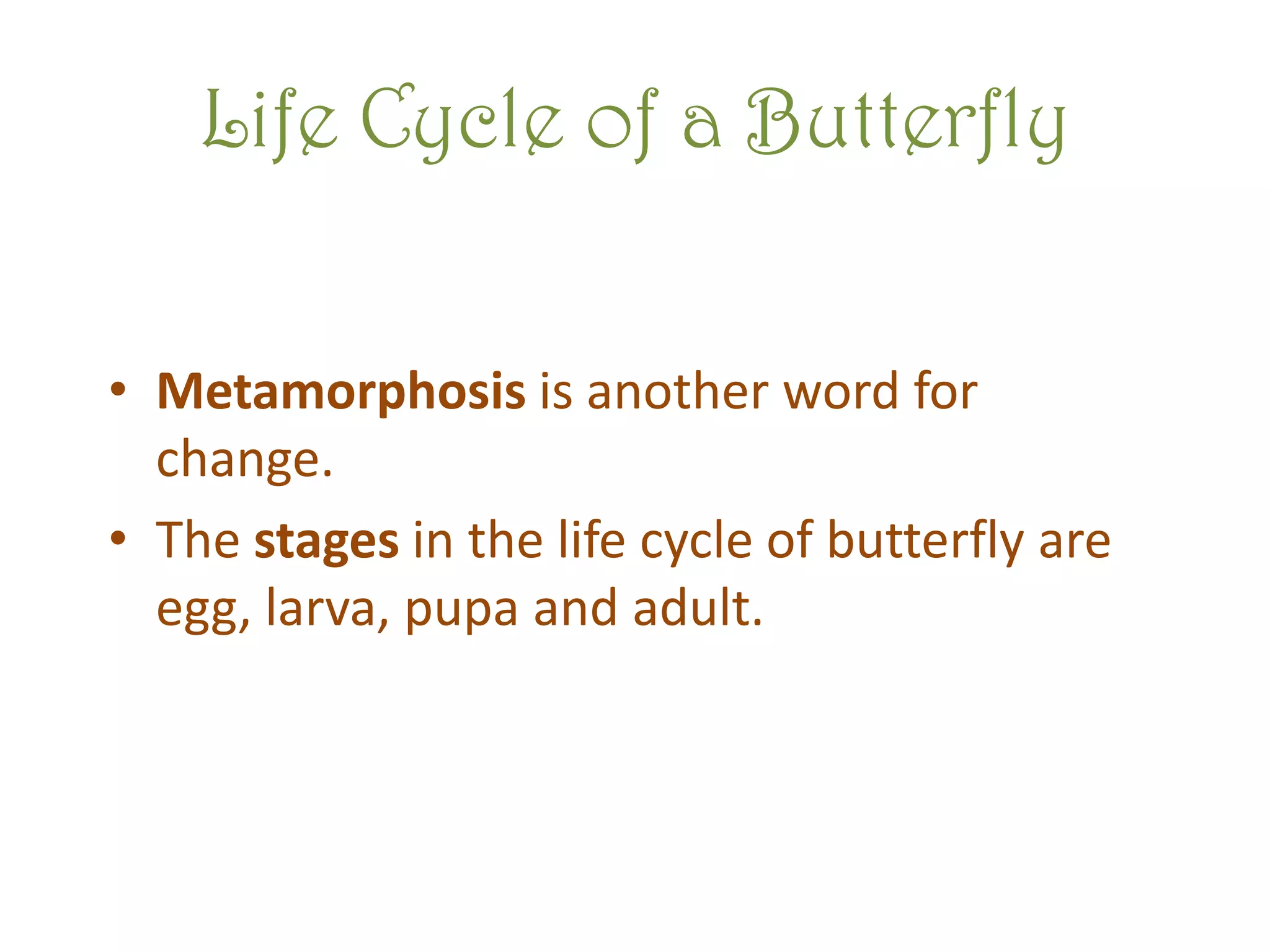 Life cycle of a butterfly | PPTX | Biological Sciences | Science
