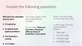 Lifecycle of a butterfly, used as demo lesson for grades 5 to 6 .pptx