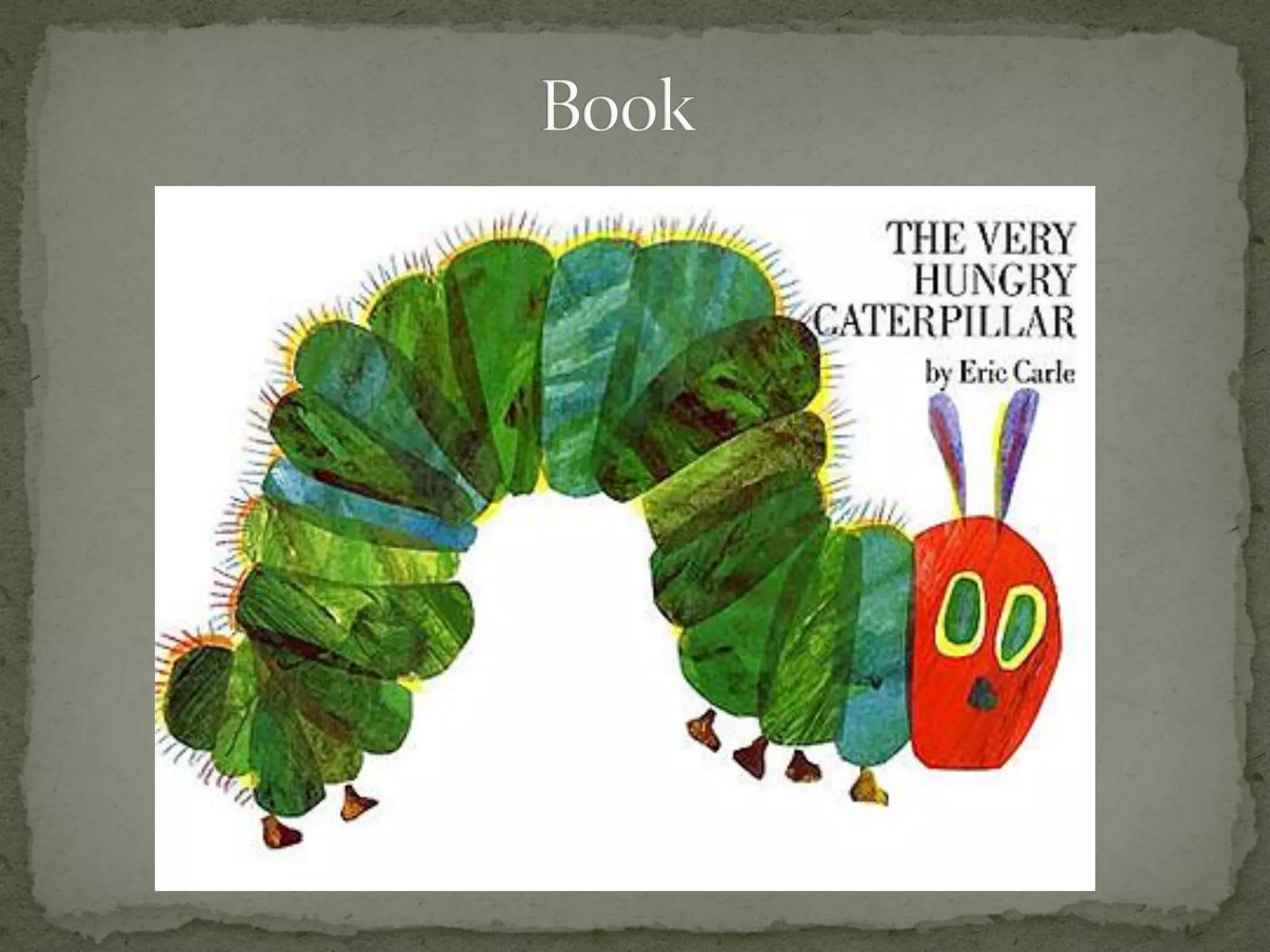 Life Cycle Of A Butterfly | PDF