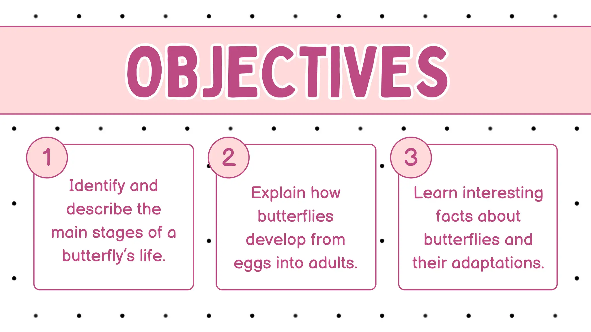 Life Cycle of a Butterfly Presentation in Pink and White Illustrative ...