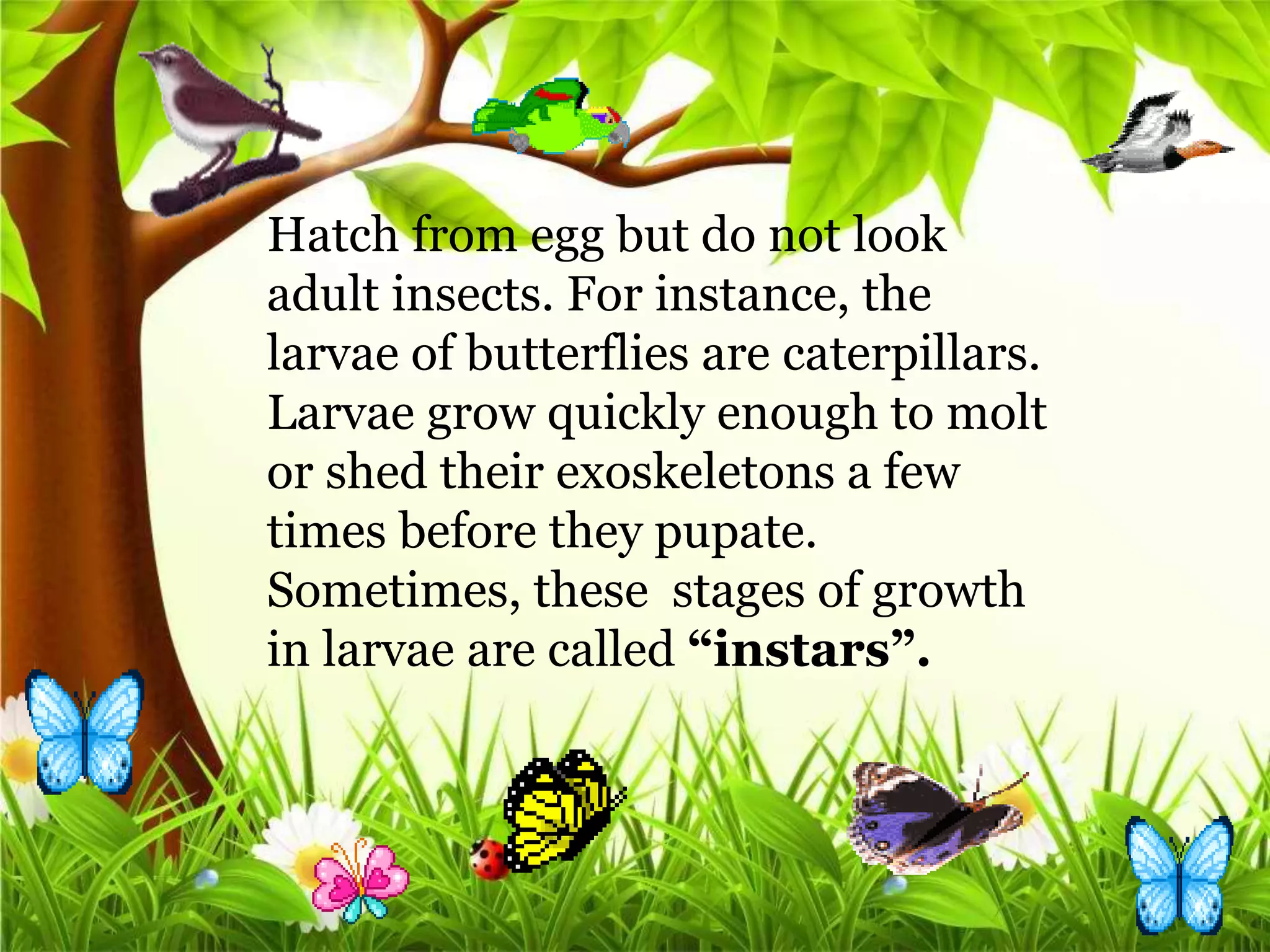 life cycle of a butterfly with complete metamorphosis lesson 35 science ...