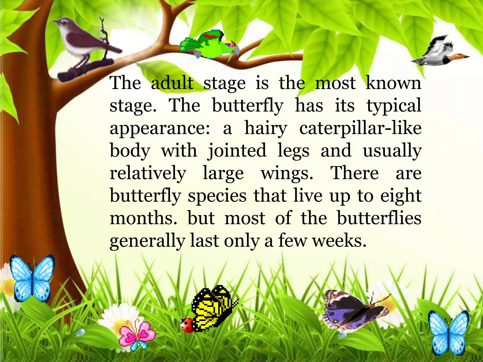 life cycle of a butterfly with complete metamorphosis lesson 35 science ...