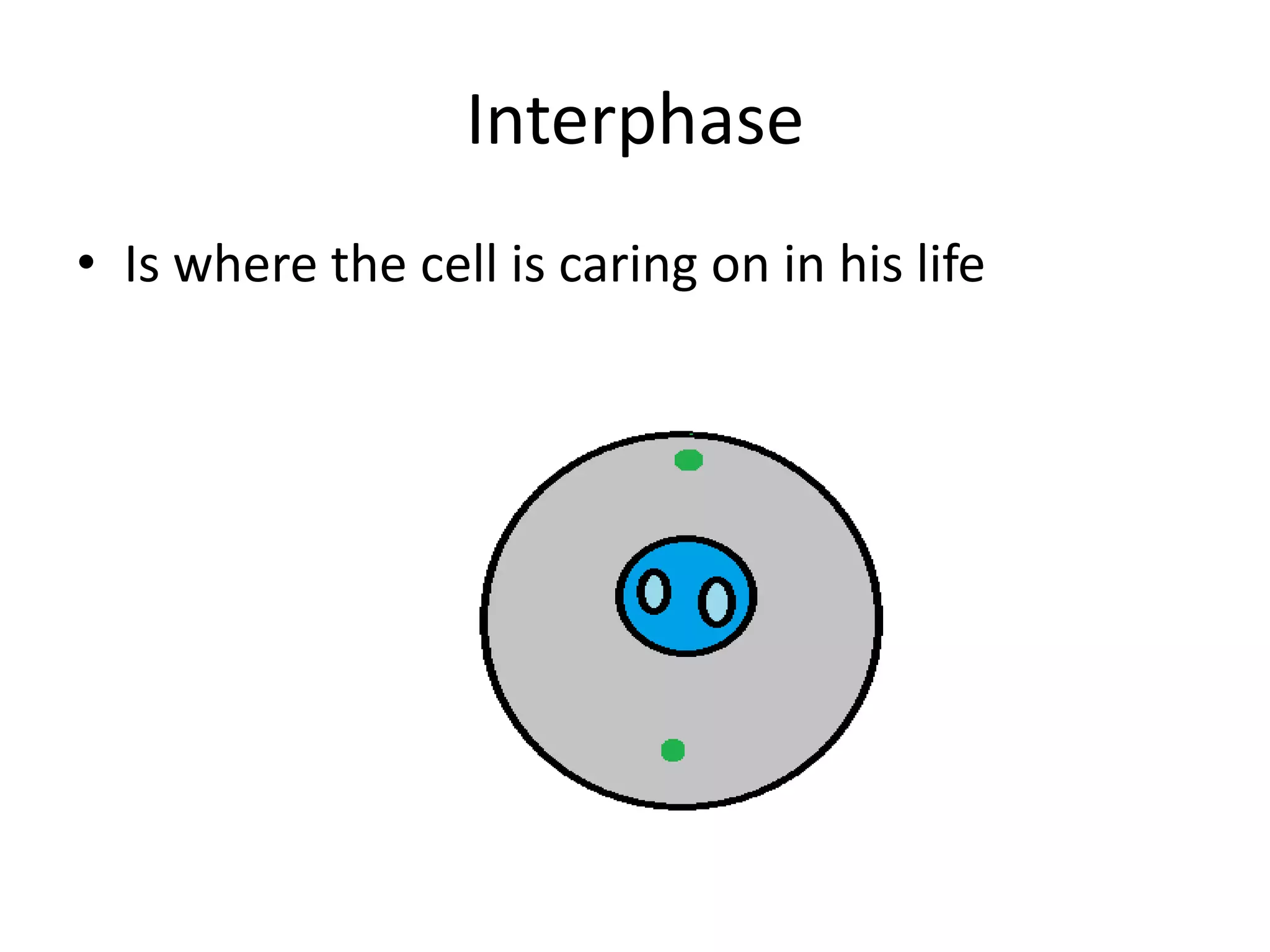 Life cycle of a cell | PPTX