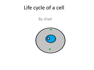 Life cycle of a cell | PPT