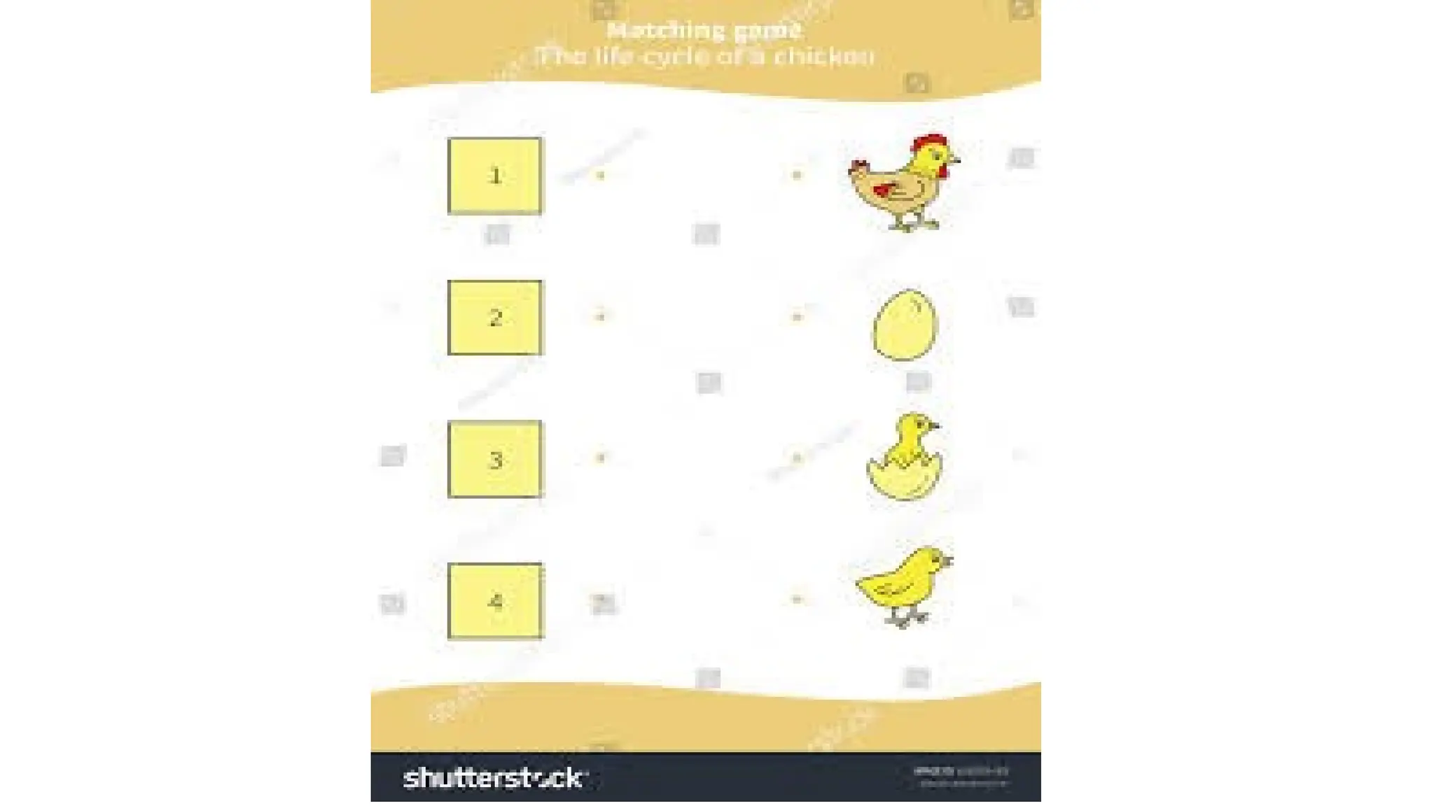 SCIENCE PRIMARY 4 Life cycle of a chicken.pptx