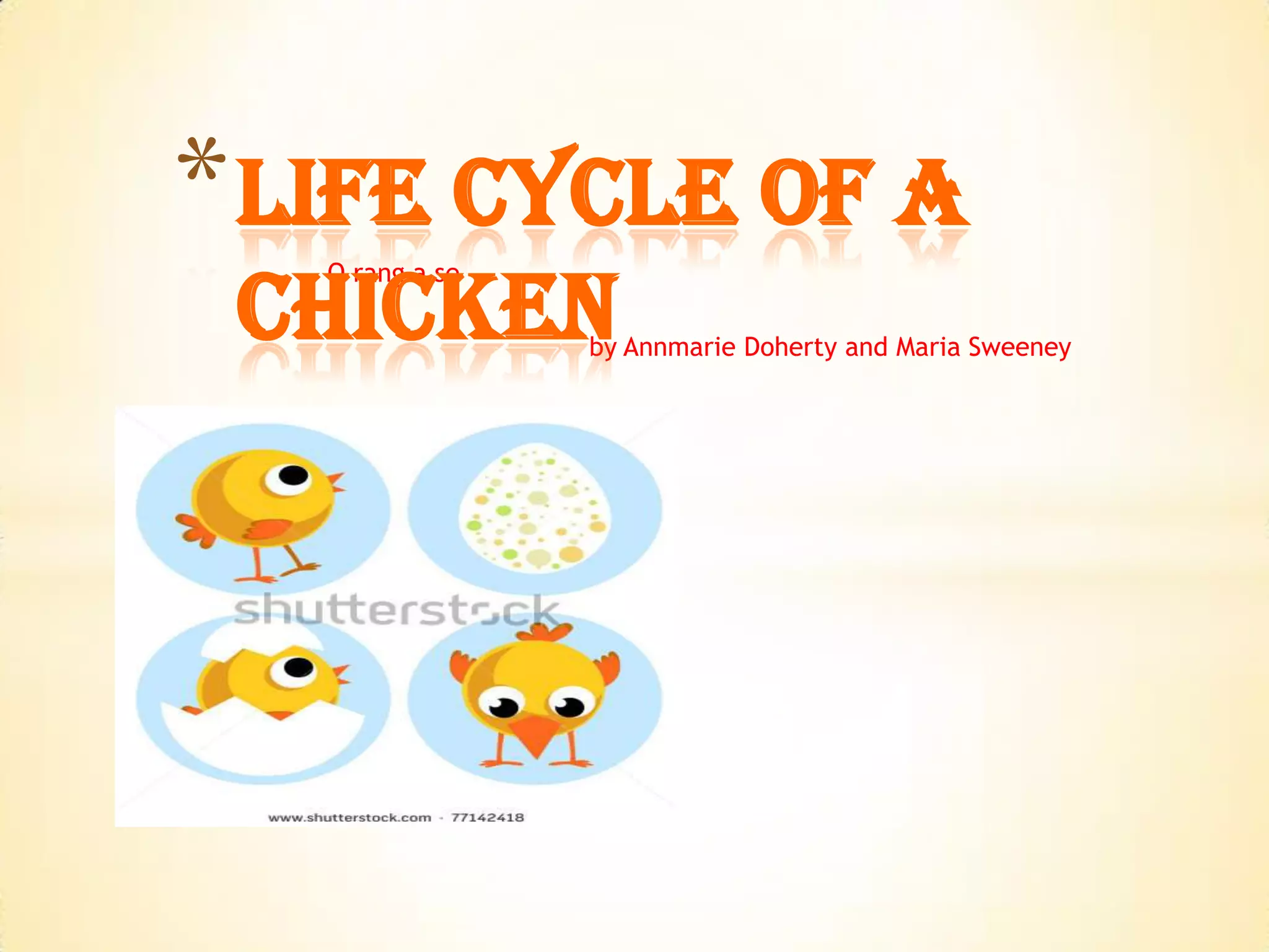 Life cycle of a chicken by annmarie and maria | PPTX | Infertility ...