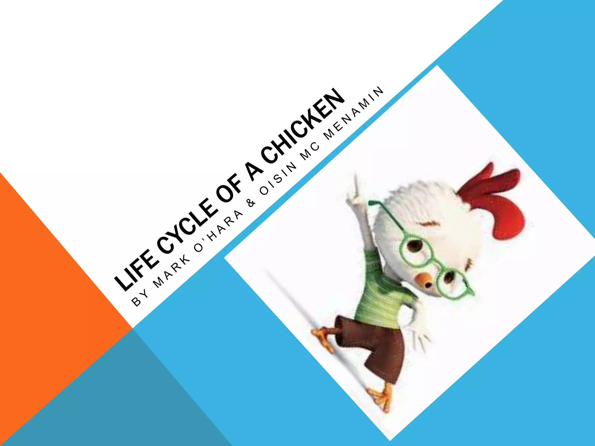 Life cycle of a chicken mark oisin | PPTX