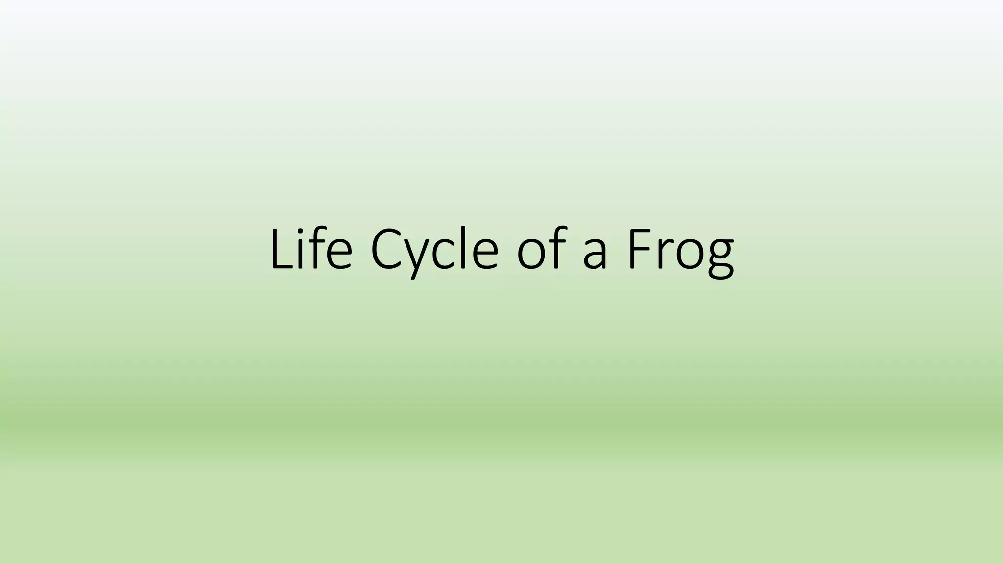 Life cycle of a frog | PPTX | Fish and Aquariums | Pets