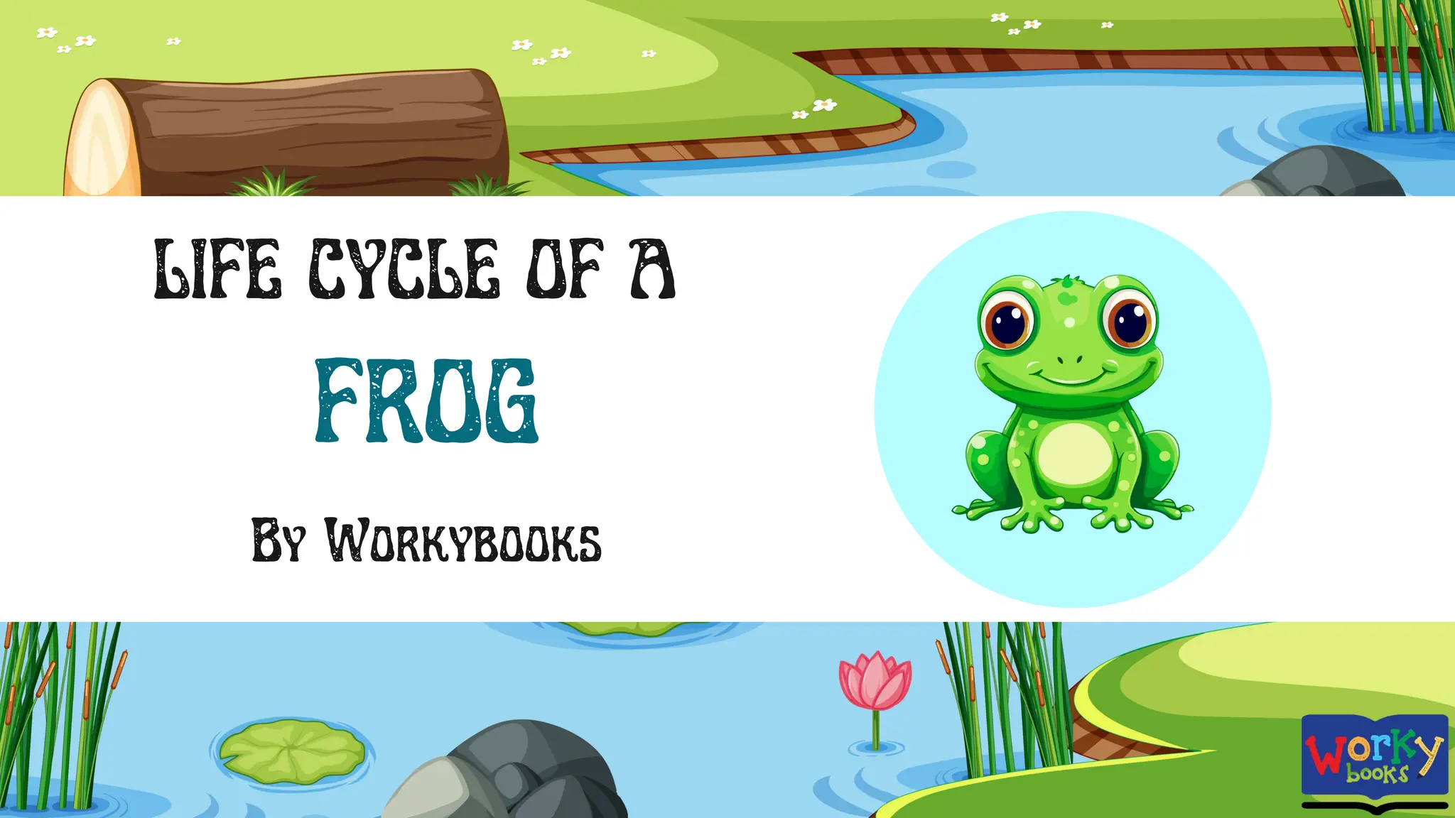 Explore the Life Cycle of a Frog | Workybooks | PDF