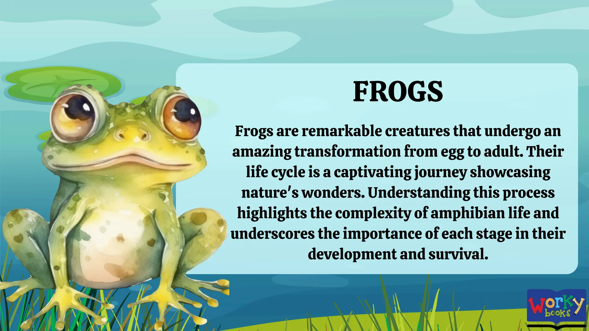 Explore the Life Cycle of a Frog | Workybooks | PDF | Biological ...